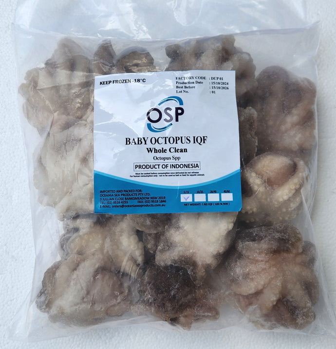 Baby Octopus 5/15 – Better Choice Fisheries